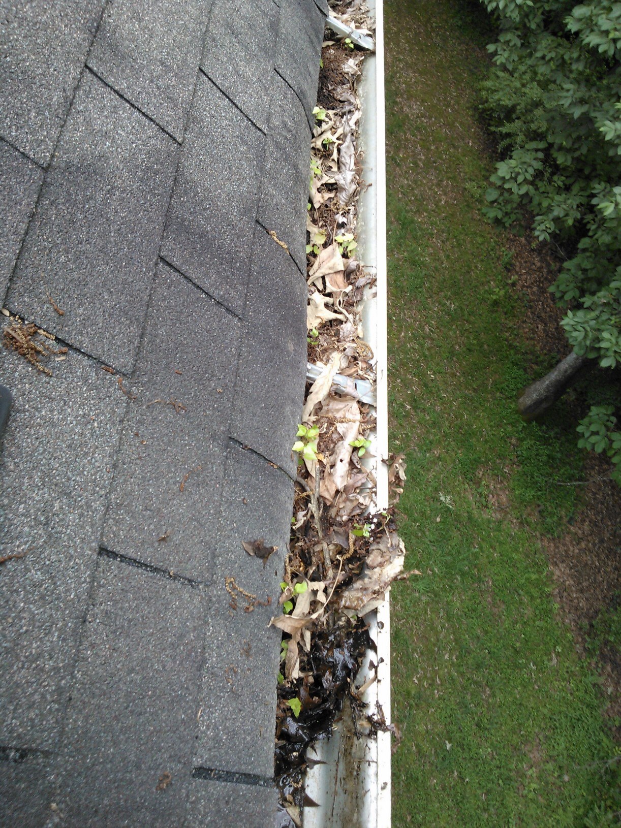Millet Gutter Services | Call 587-405-3224!